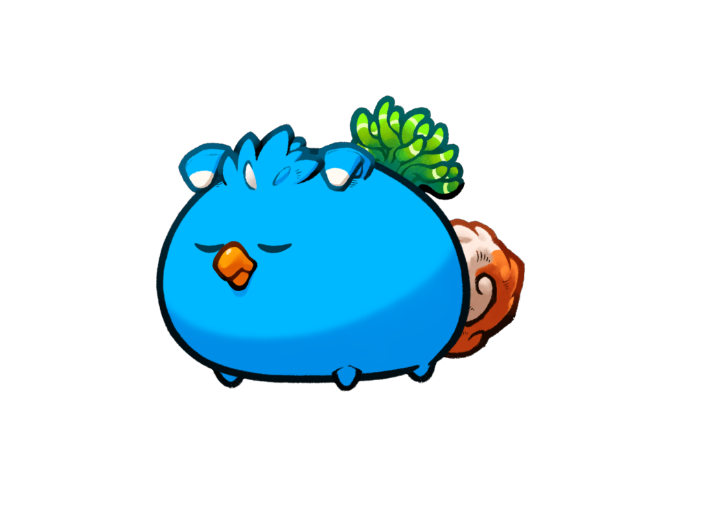 Ronin Market | Axie #127501#127501